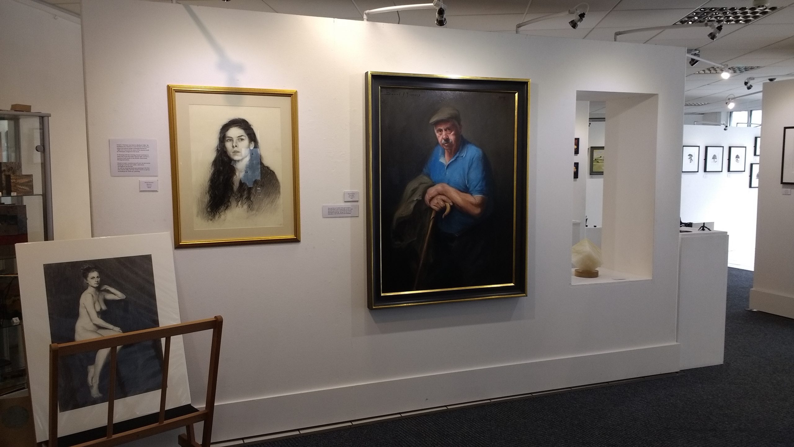 Exhibition at the Willow Gallery, Oswestry | Daniel James Yeomans